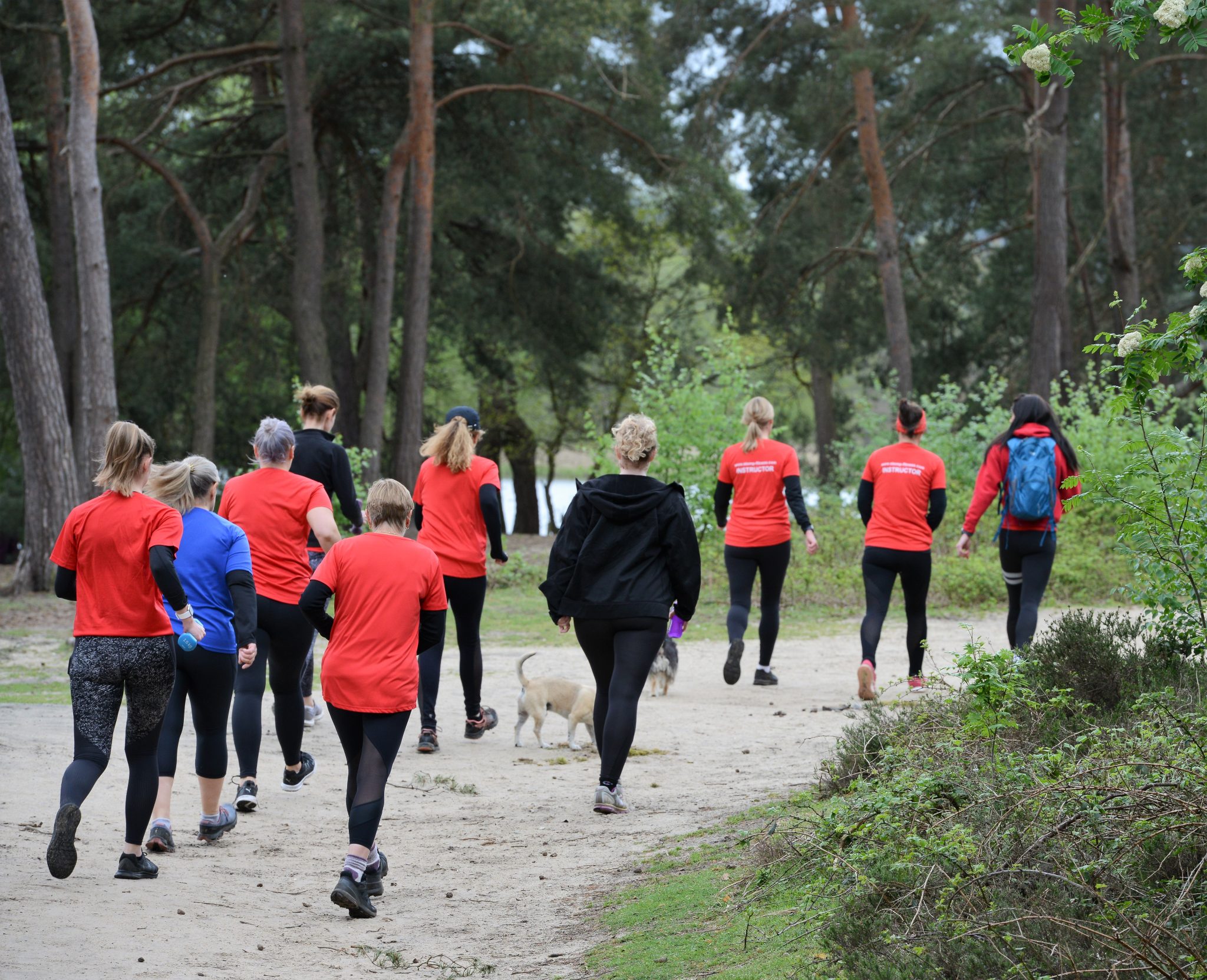 STOMP Fitness – Outdoor | Walking | Workout